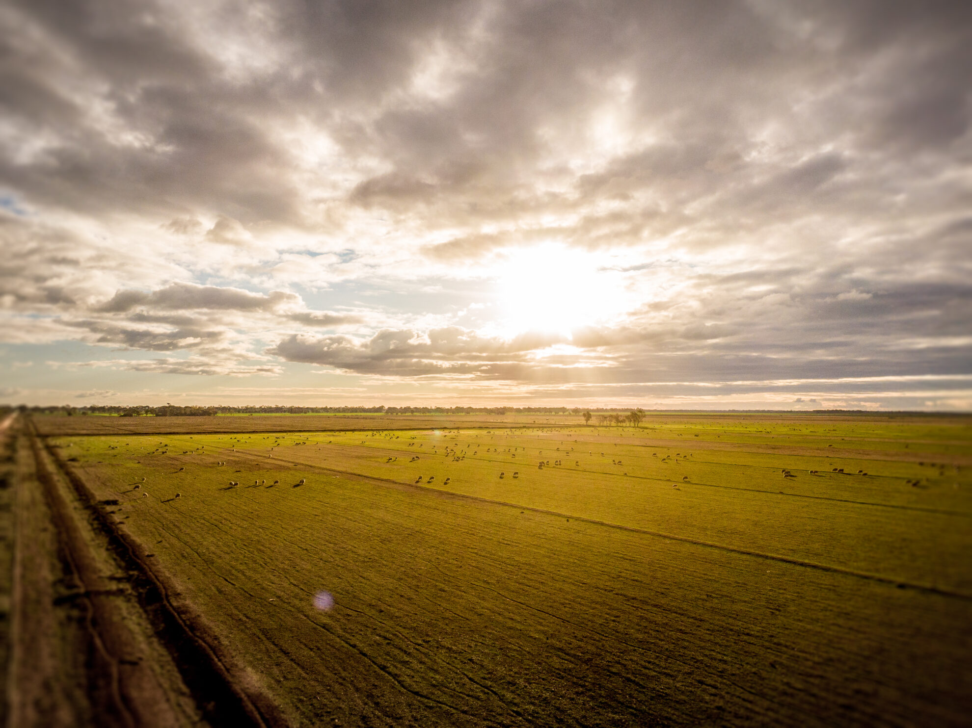 Tragowel Farm TWIG – ACRE21 – Acre Project